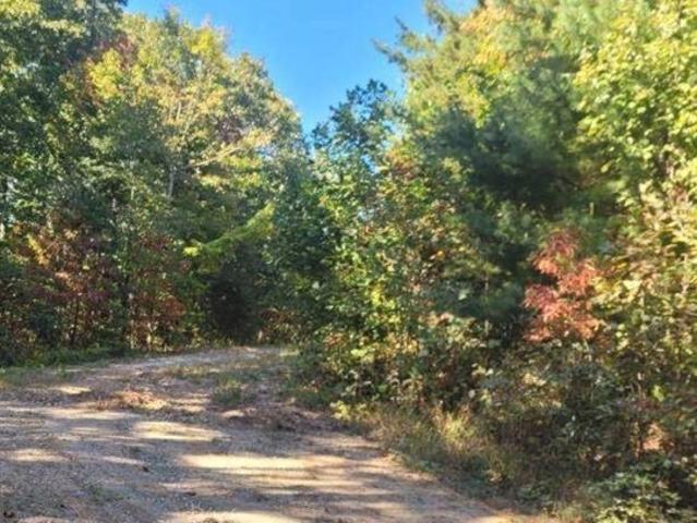 43.91 Old Burnt Mountain Road PART OF C