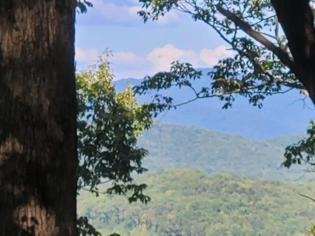 43.91 Old Burnt Mountain Rd, Ellijay, GA 30536 | MLS #420526
