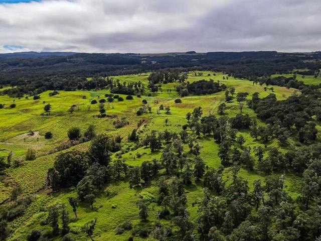 43 1831 Manienie Rd, Paauilo, HI 96776