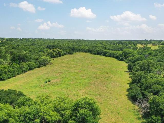 43.18 Acres 281 Hwy, Jacksboro, TX 76458