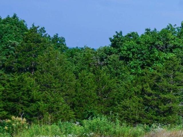 18119 State Route O, Rolla, MO 65401