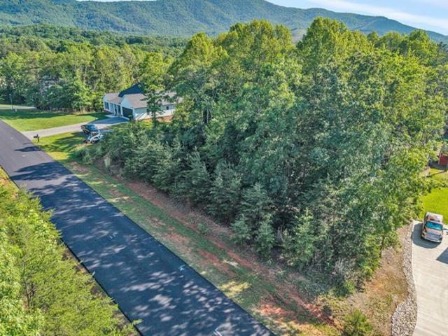 43 Thornblade Way, Blue Ridge, VA 24064
