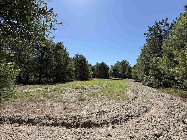 43 Acres 5432 Juneburn Rd, Manning, SC 29102