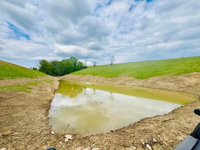 45 Acres Chipman Ridge Road # 43 Acres, +/