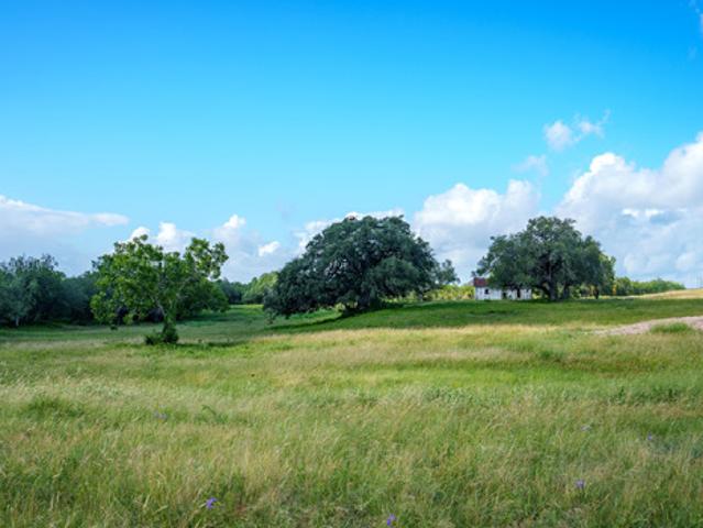 43 acres fm 885