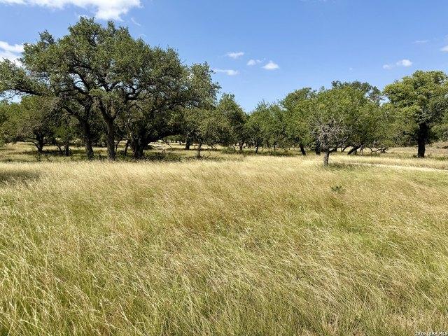 43 Acres Sattler Rd, Spring Branch, TX 78070