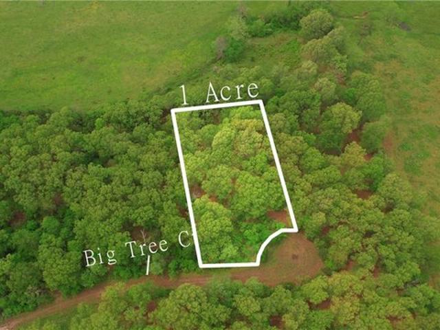 43 Big Tree Ct Lot 43, Elizabeth, AR 72531
