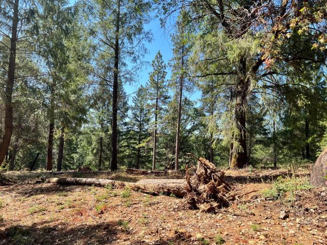 43 Bottle Hill Rd, Georgetown, CA 95634 | MLS #225002