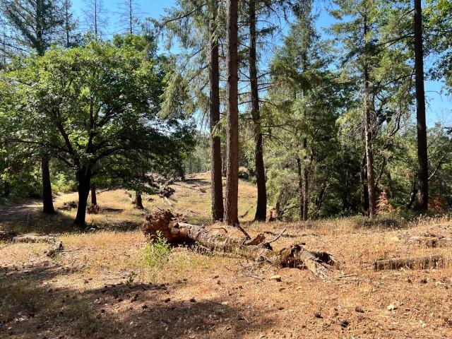 43 Bottle Hill Rd, Georgetown, CA 95634 | MLS #226086