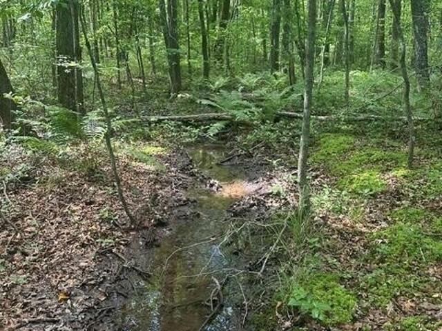 43 Bluffs Woods