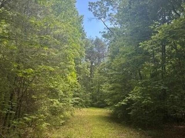43 Bluffs Woods, Altamont, TN 37301