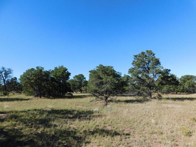 43 Brook Blvd, Quemado, NM 87829