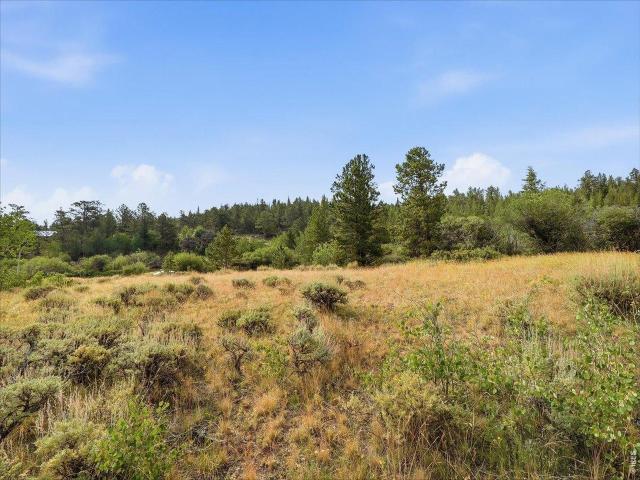 43 Chetco Ct, Red Feather Lakes, CO 80545 | MLS #1063