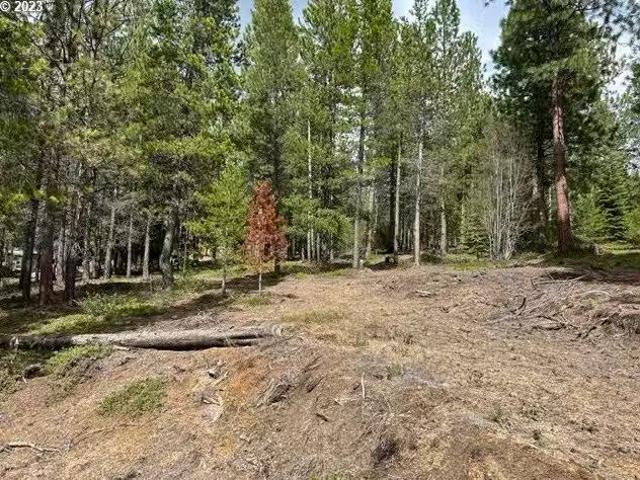43 Clear Spring Way, Crescent Lake, OR 97733 MLS 23279925