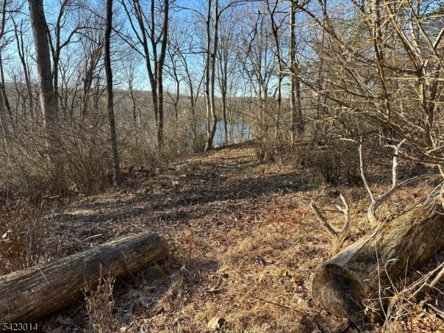 43 Hemlock Ave, Newton, NJ 07860 | MLS #4019