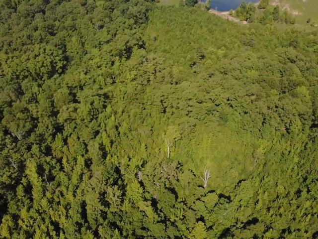 43 Hughbanks Hollow