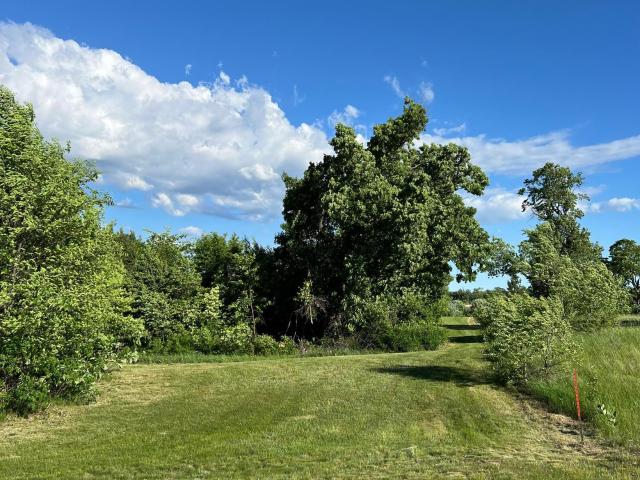 43 Inlet Estates Trail