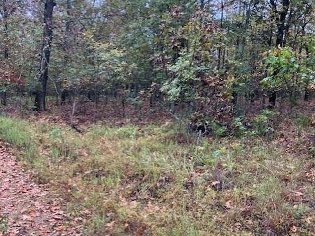 43 Madison Cr, Fredericktown, MO 63645 | MLS #24059