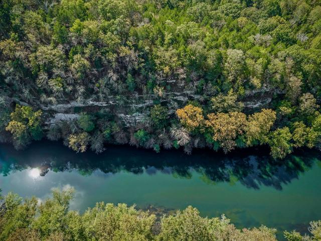 43 Moss Bend Ln