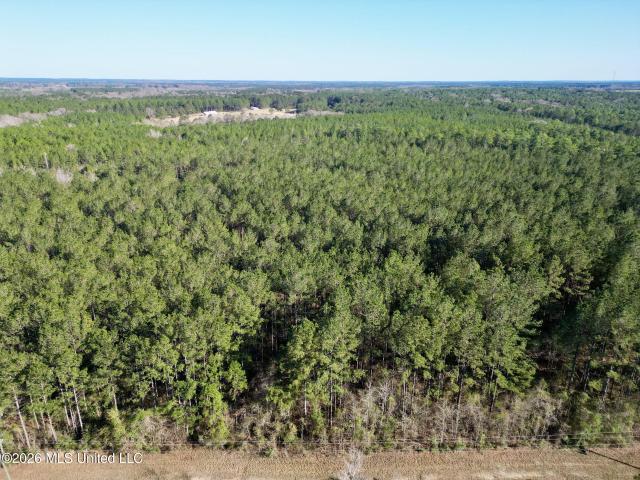 43 N Mississippi, Poplarville, MS 39470 | MLS #4122 | Compass