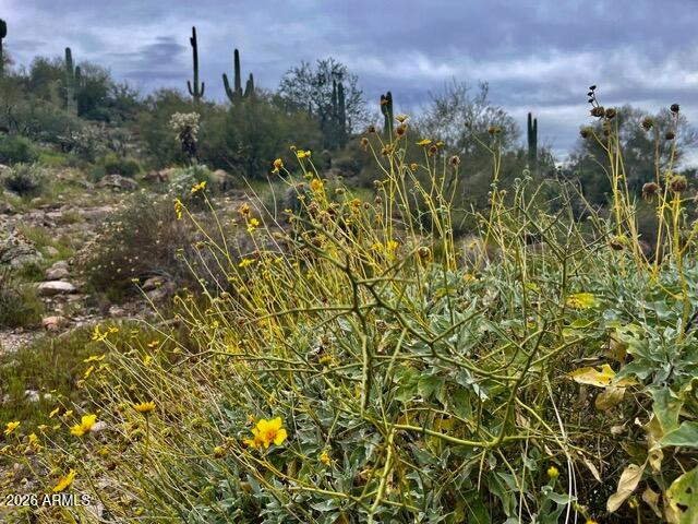 43 N 10th St, Phoenix, AZ 85087 | MLS #6974