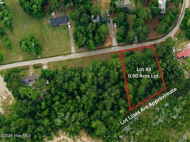 43 Pond View Cir E Lot 43, Hampstead, NC 28443