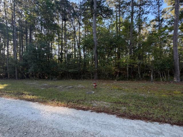 43 Pond View Ln, Hampstead, NC 28443 | MLS #100566