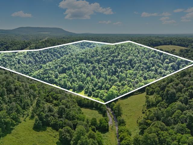 4006 Stones River Rd, Woodbury, TN 37190 | MLS #2914