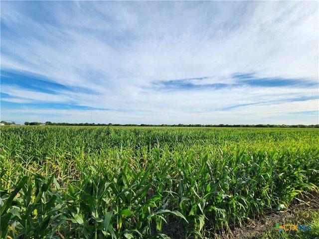 4007 Lone Tree Rd Lot 3, Victoria, TX 77901