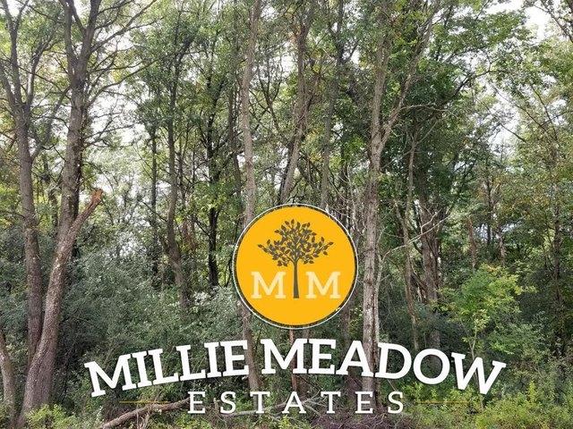 4008 Millie Meadow Dr SW, Rochester, MN 55902