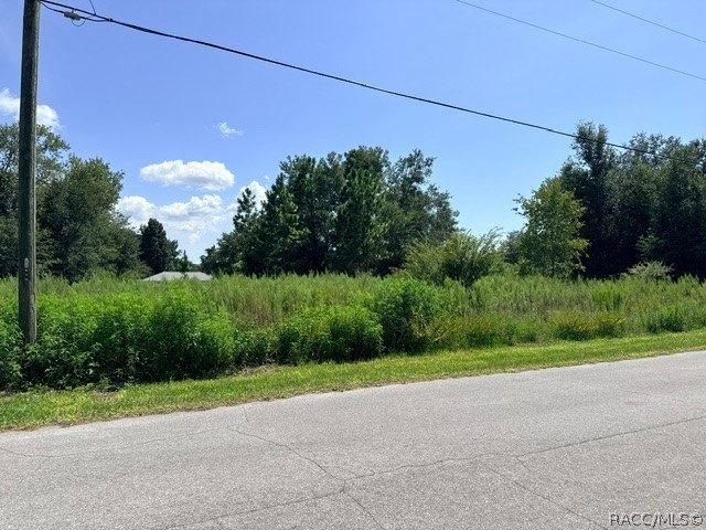 4008 E Allendale St, Inverness, FL 34453