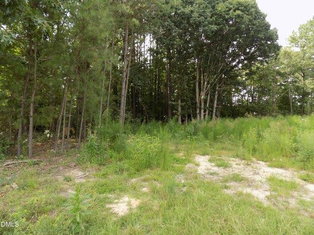4009 US 401 Hwy N, Louisburg, NC 27549