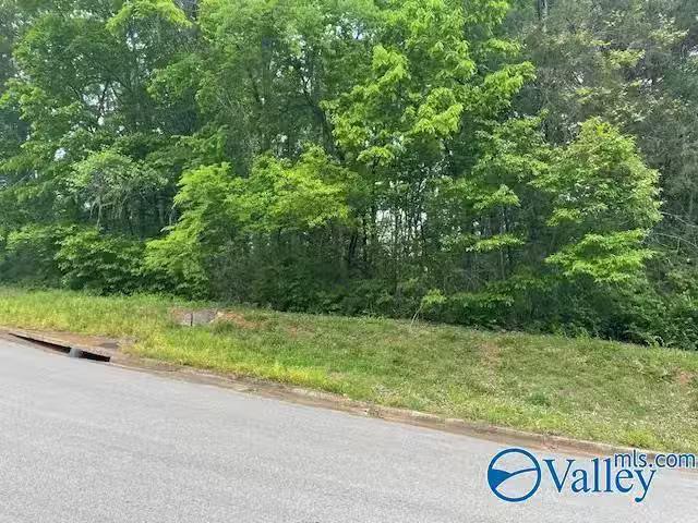 4000 JUNIPER DR NW, HUNTSVILLE, AL 35810