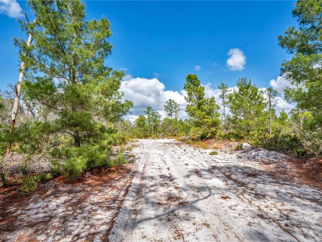 4000 Lomonico Rd, Sebring, FL 33875 | MLS #S5144 | Compass