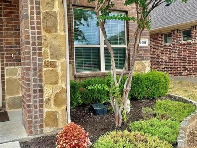 4001 Muscadine Drive