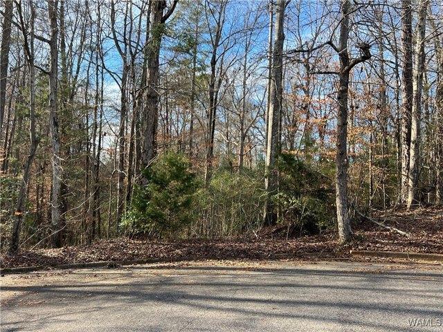 4001 Hillsdale Cir, Tuscaloosa, AL 35404