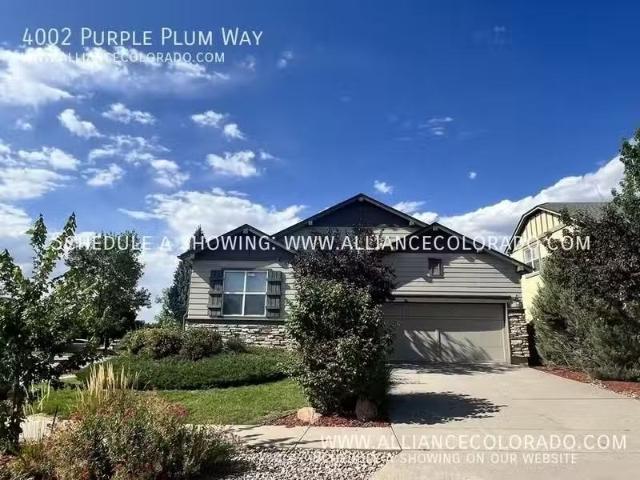 4002 Purple Plum Way