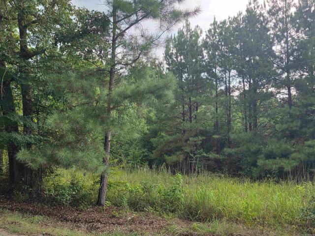 4003 Hwy 54