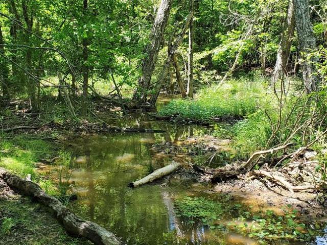 400 County Road 2775