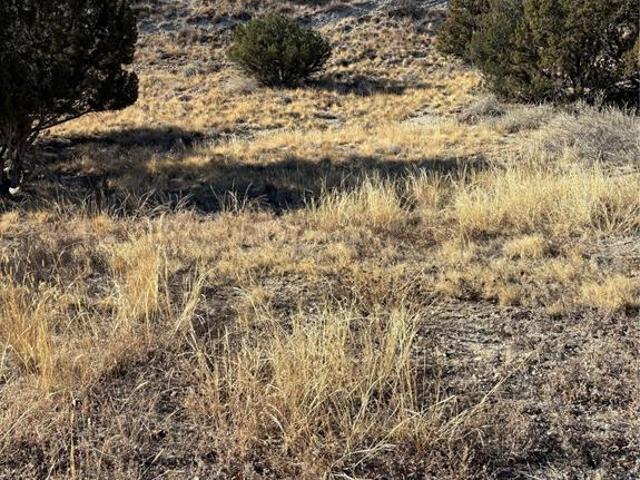 400 Autumn Ct, Canon City, CO 81212 | MLS #3053 | Compass