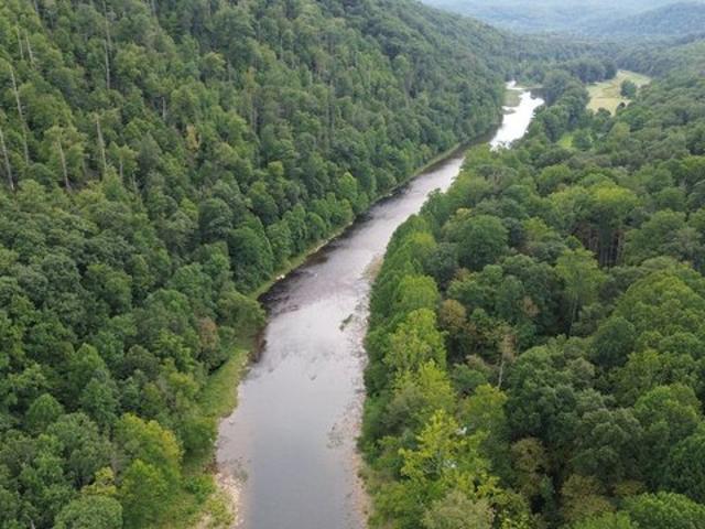 400 Barefoot Woods Ln, Buckeye, WV 24924