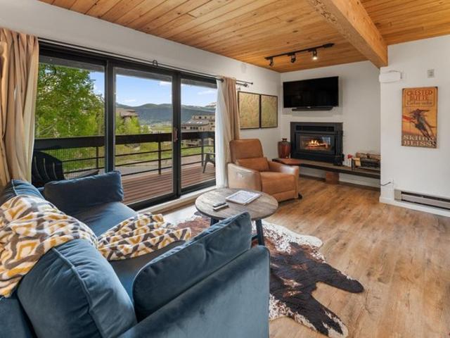 400 Gothic Rd Unit 202, Crested Butte, CO 81225