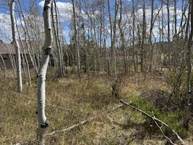 400 Fox Acres Dr W, Red Feather Lakes, CO 80545 | MLS #1057