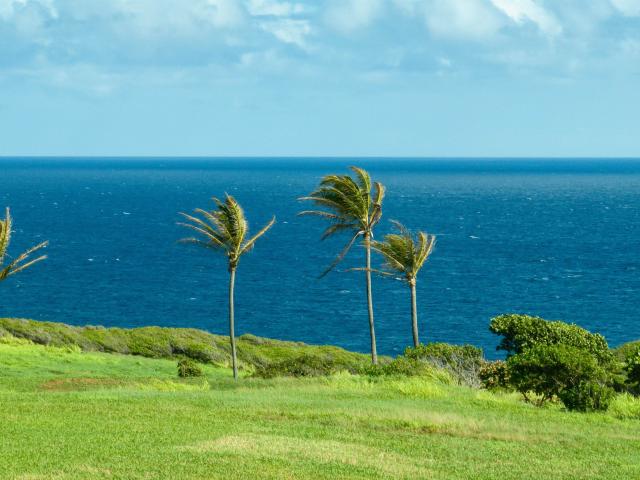 400 Kai Huki St, Unit LOT 16, Haiku, HI 96708 | MLS #405097