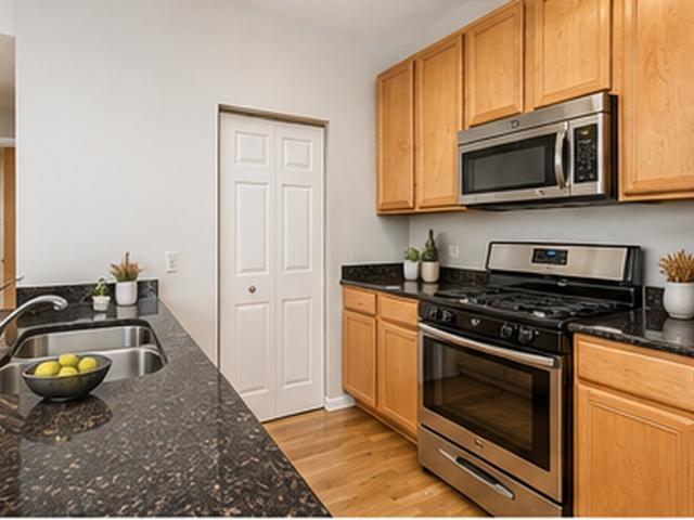 400 W Ontario Street # 1508