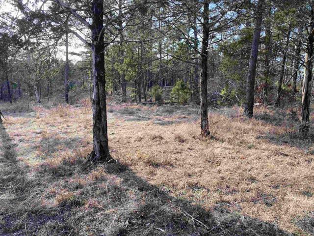 400 Tree Farm Road