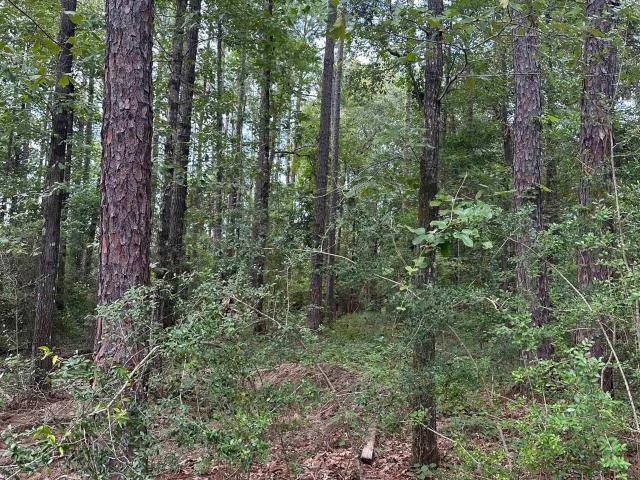 40140 Dogwood Fork Road