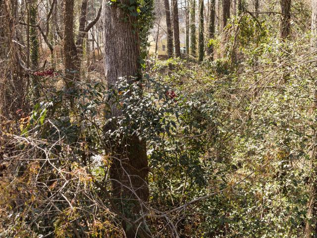 4017 Balsam Dr, Raleigh, NC 27612 | MLS #10154