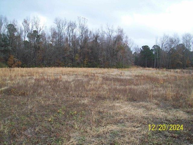 4018 Buffkin Rd, Green Sea, SC 29545