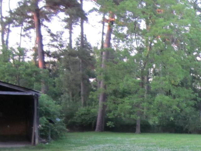 4018 E Mossy Oaks Rd, Spring, TX 77389 | MLS #72103